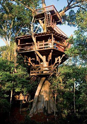 36 Amazing Dream Tree Houses - SORTRA
