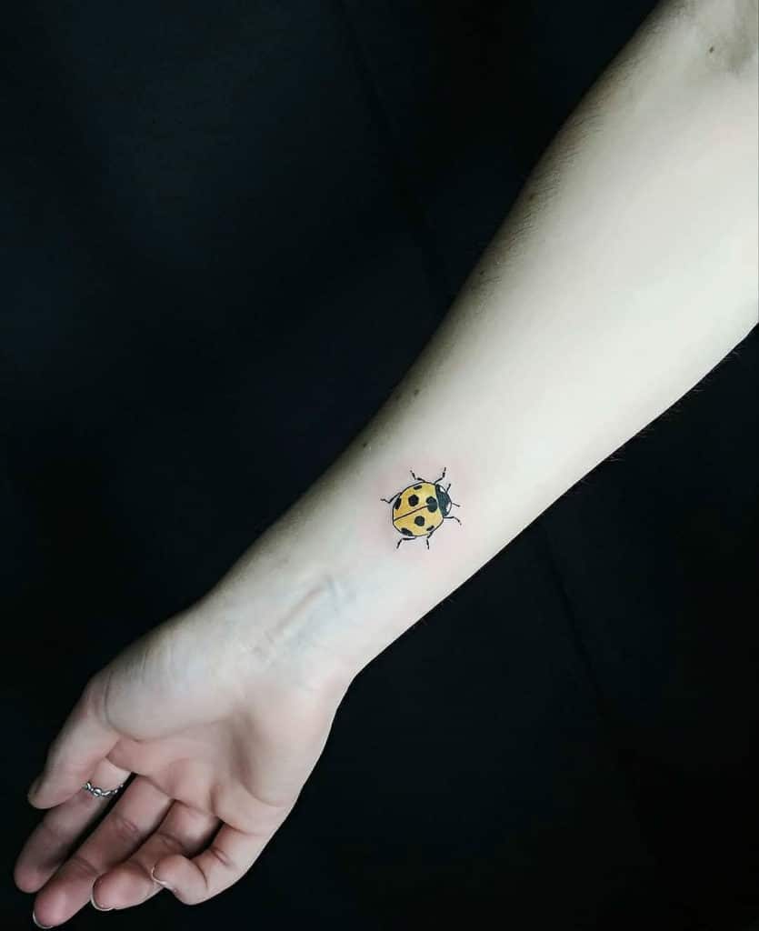 20 Delightful Ladybug Tattoos And Their Symbolic Meanings